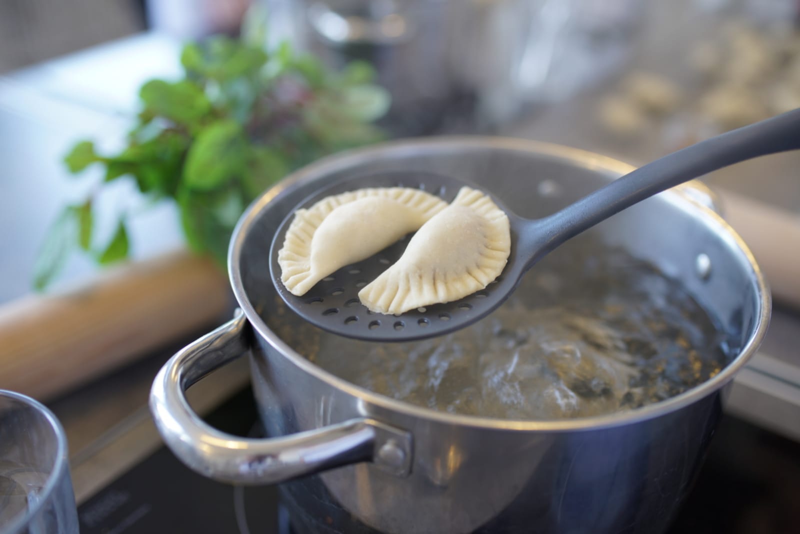 Polish your cooking in Warsaw - Putopis