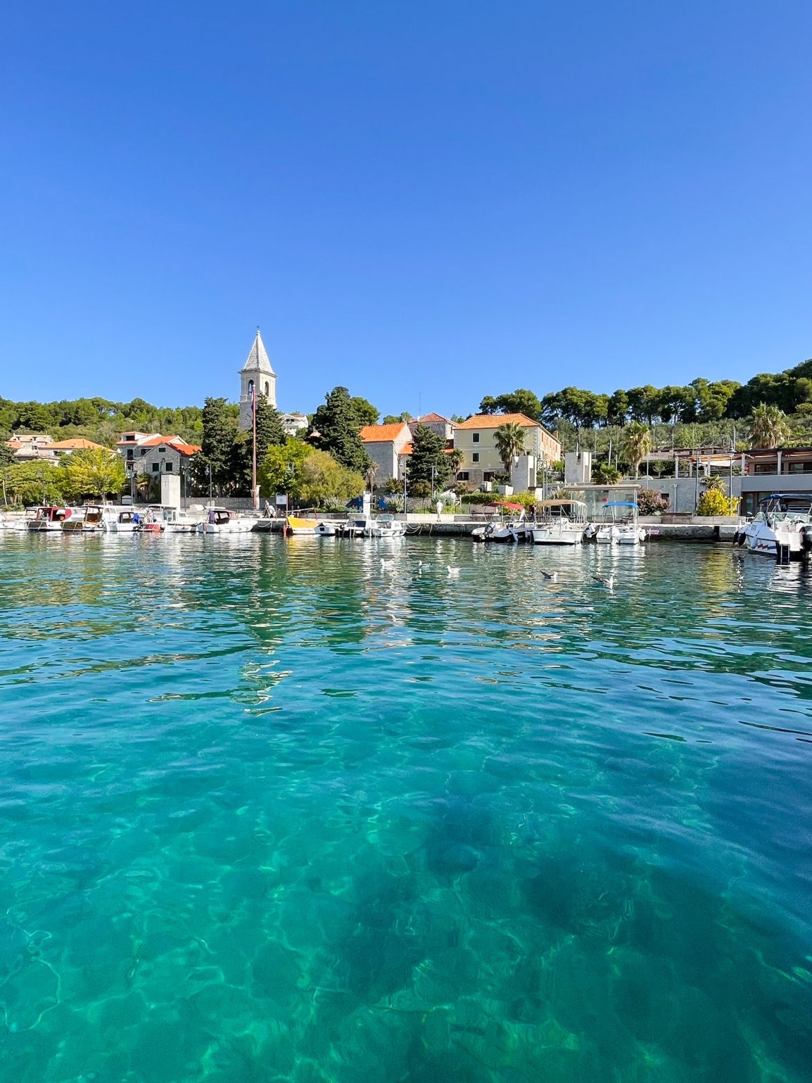 OTOK PRVIĆ - Putopis